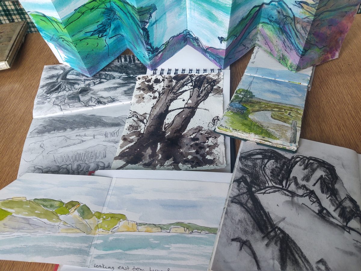 Caroline Baxter – Ilfracombe Art Trail